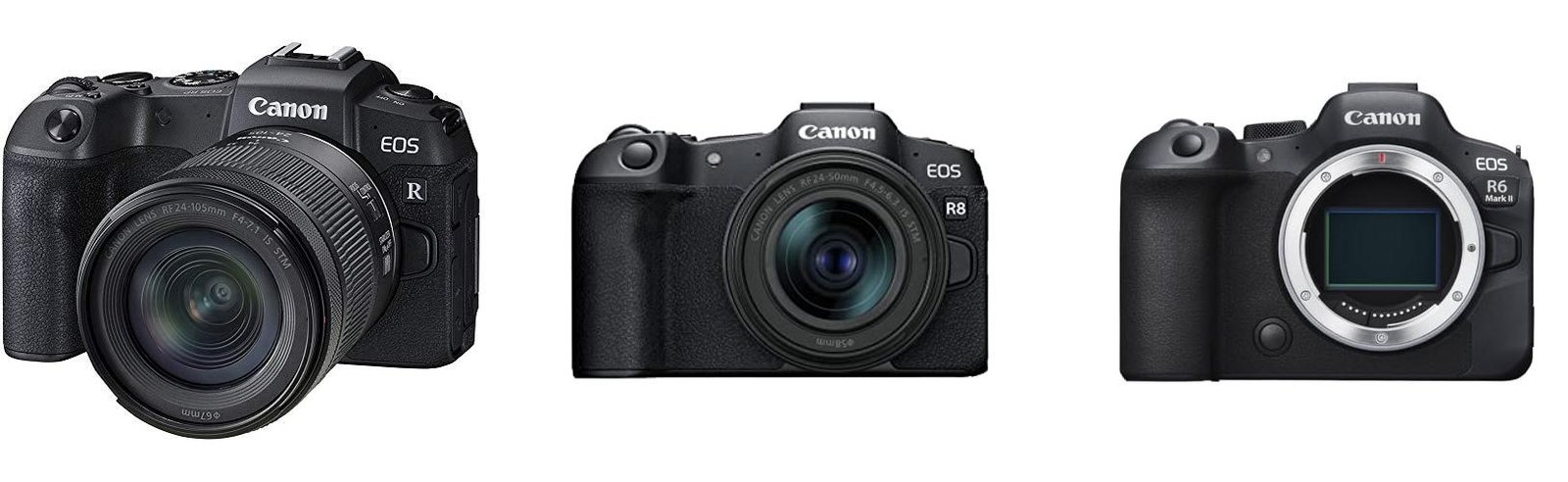 Top 5 Canon Full-Frame Cameras: Reviews & Buying Guide for Pros